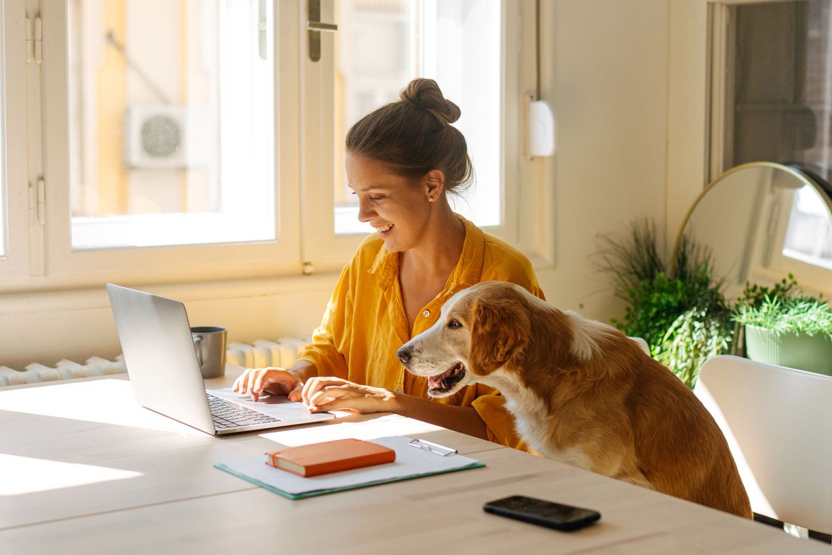 How to secure your Wi-Fi | Videotron Forum - 48666